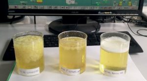 Công nghệ lọc trong sản xuất pectin - Song Song